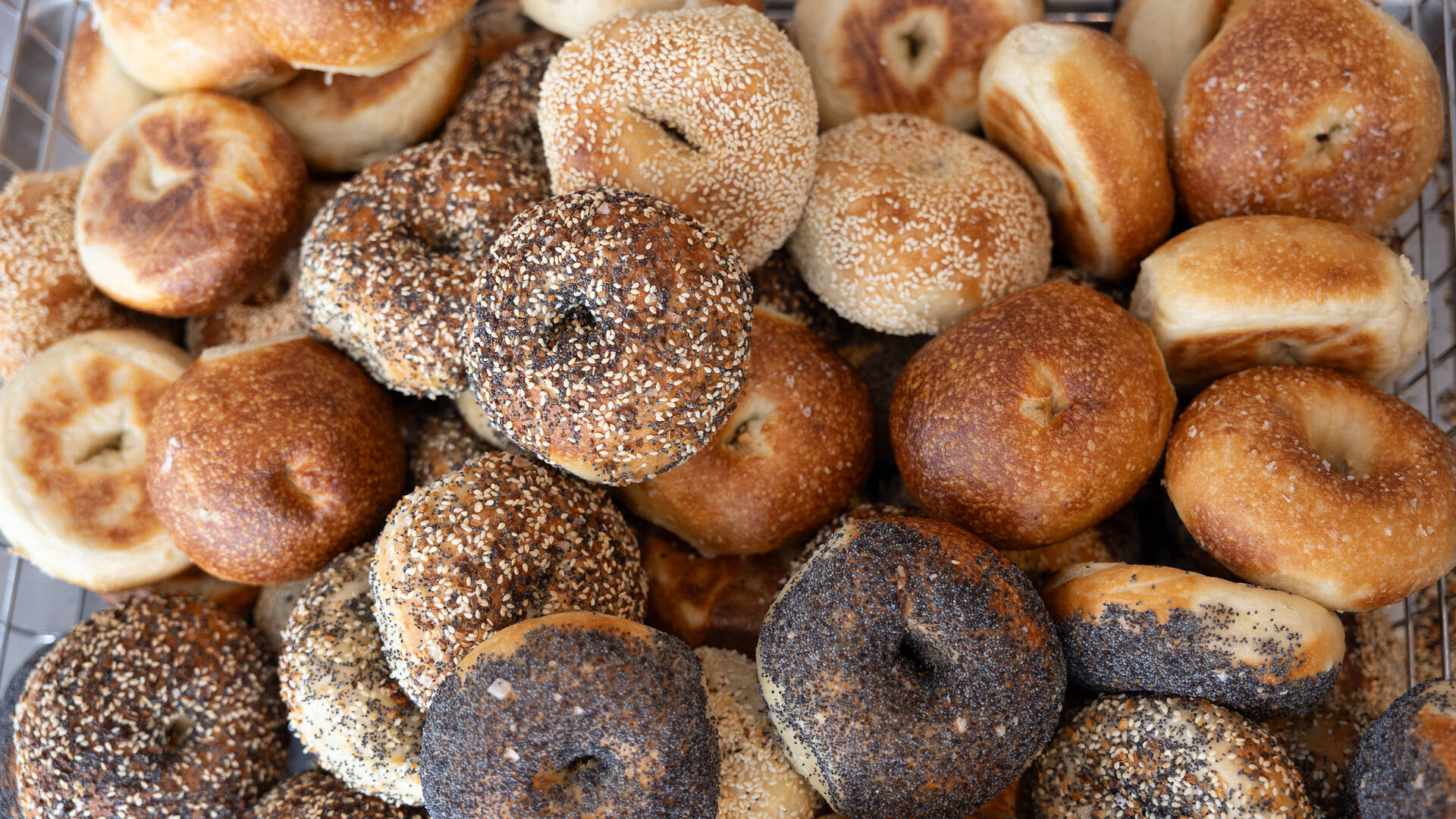 PopUp Bagels' Connecticut-style Bagels Fit Right Into New York's Bagel ...