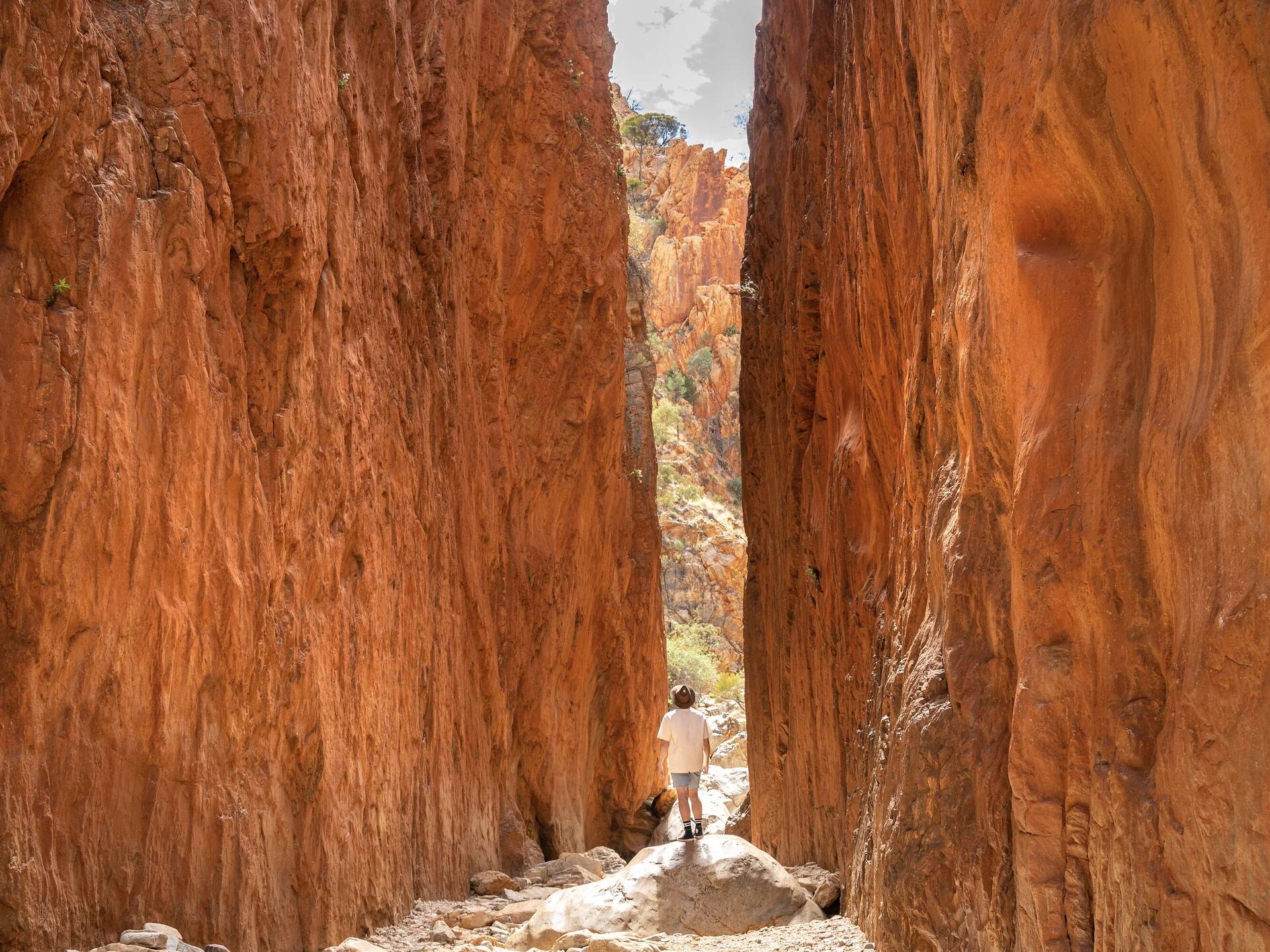 The 16 Best Things To Do In Alice Springs [2026 Guide]