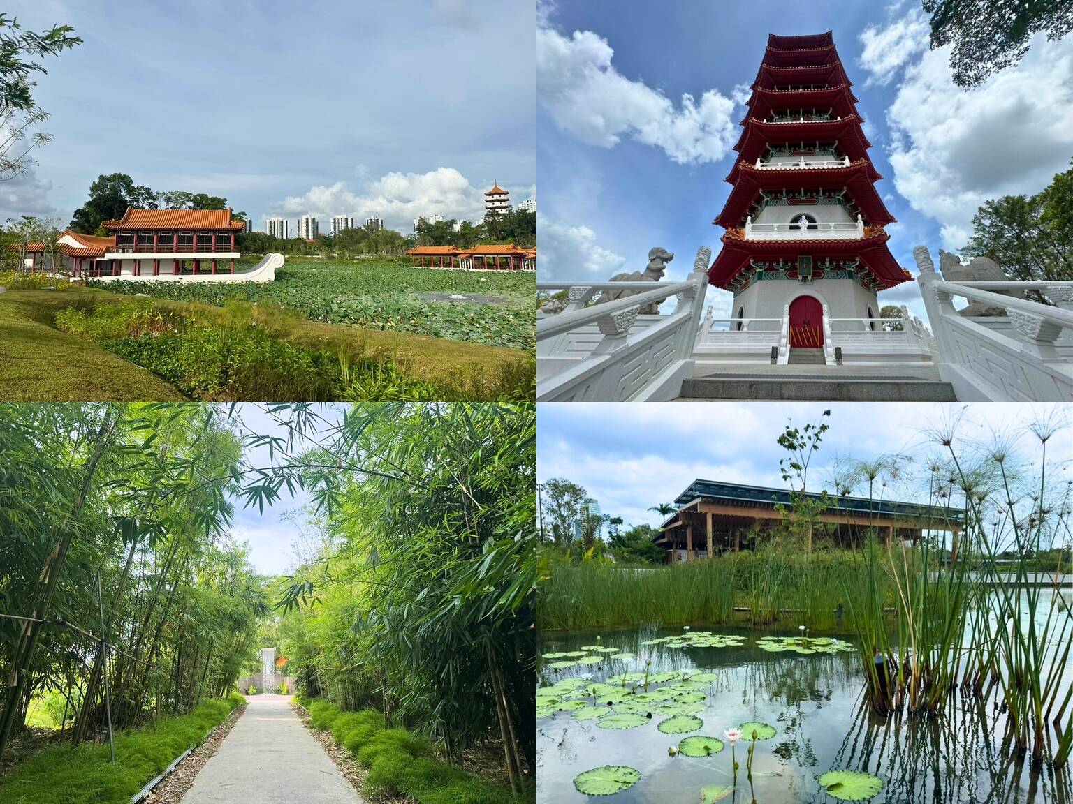 The Ultimate Guide To Chinese And Japanese Gardens In Singapore