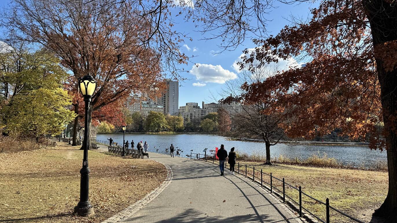Everything you need to know about the major redesign of Central Park's ...