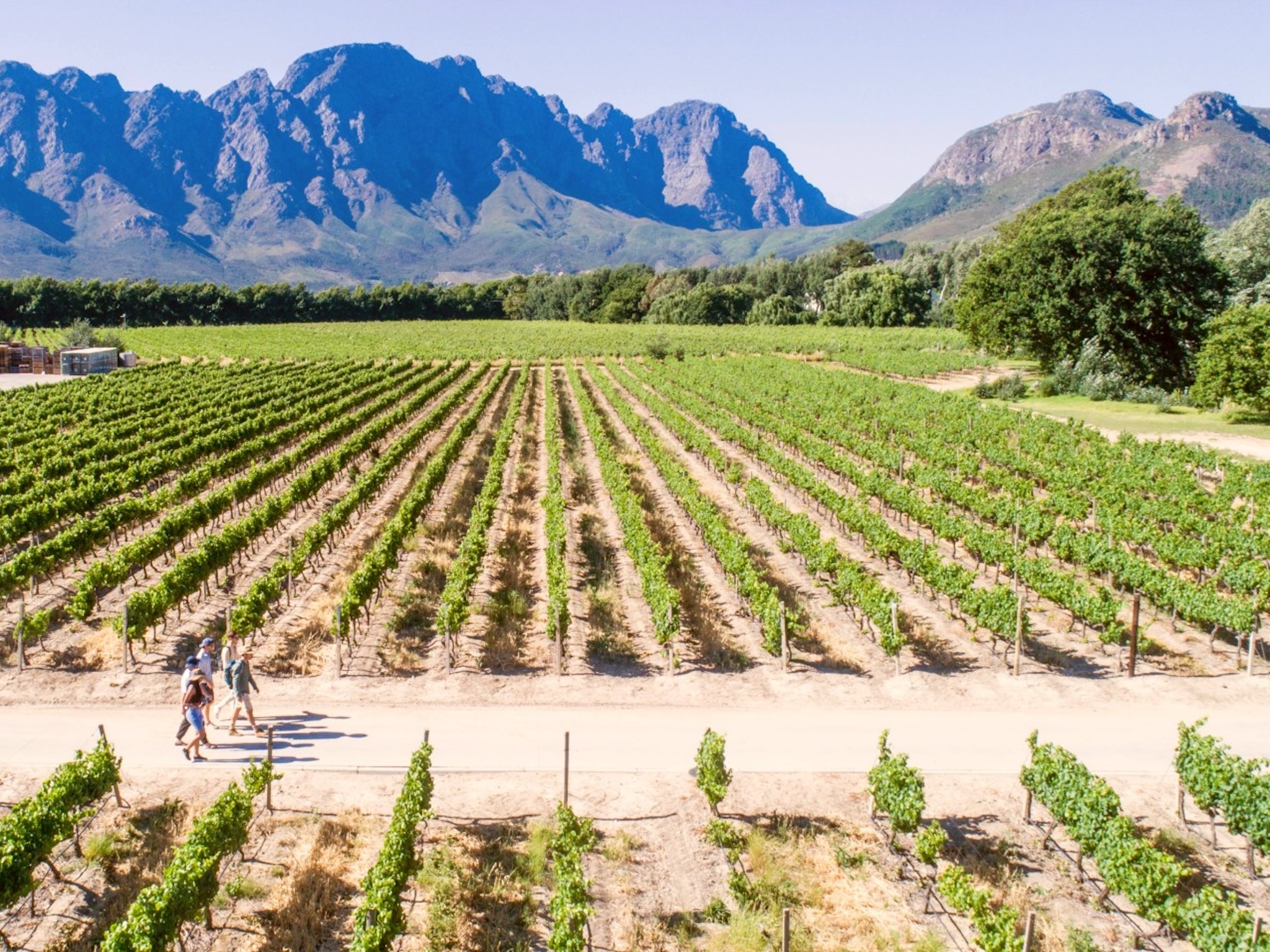 Take a walk on the wine side