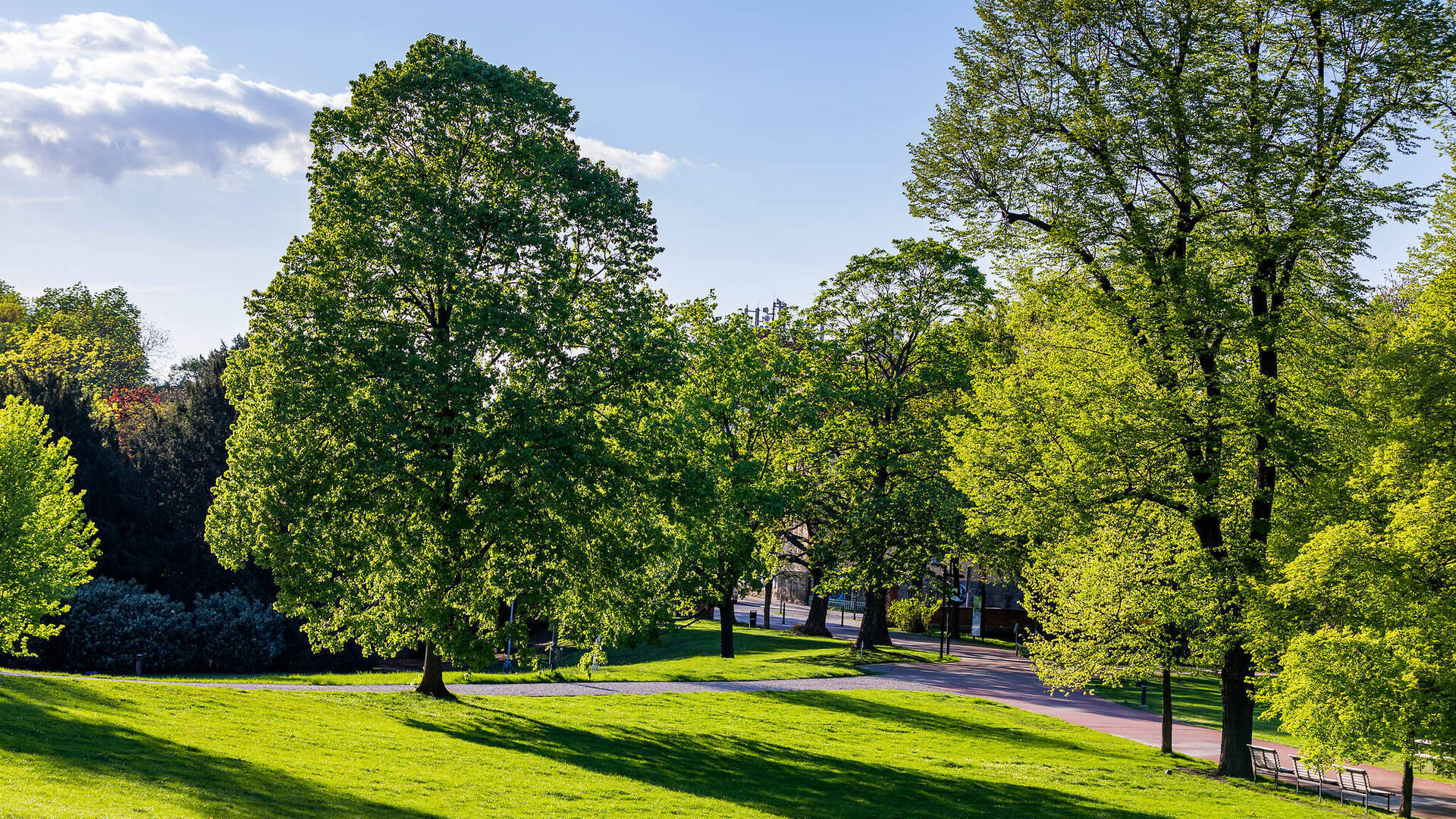 Letna Park: Everything You Need To Know