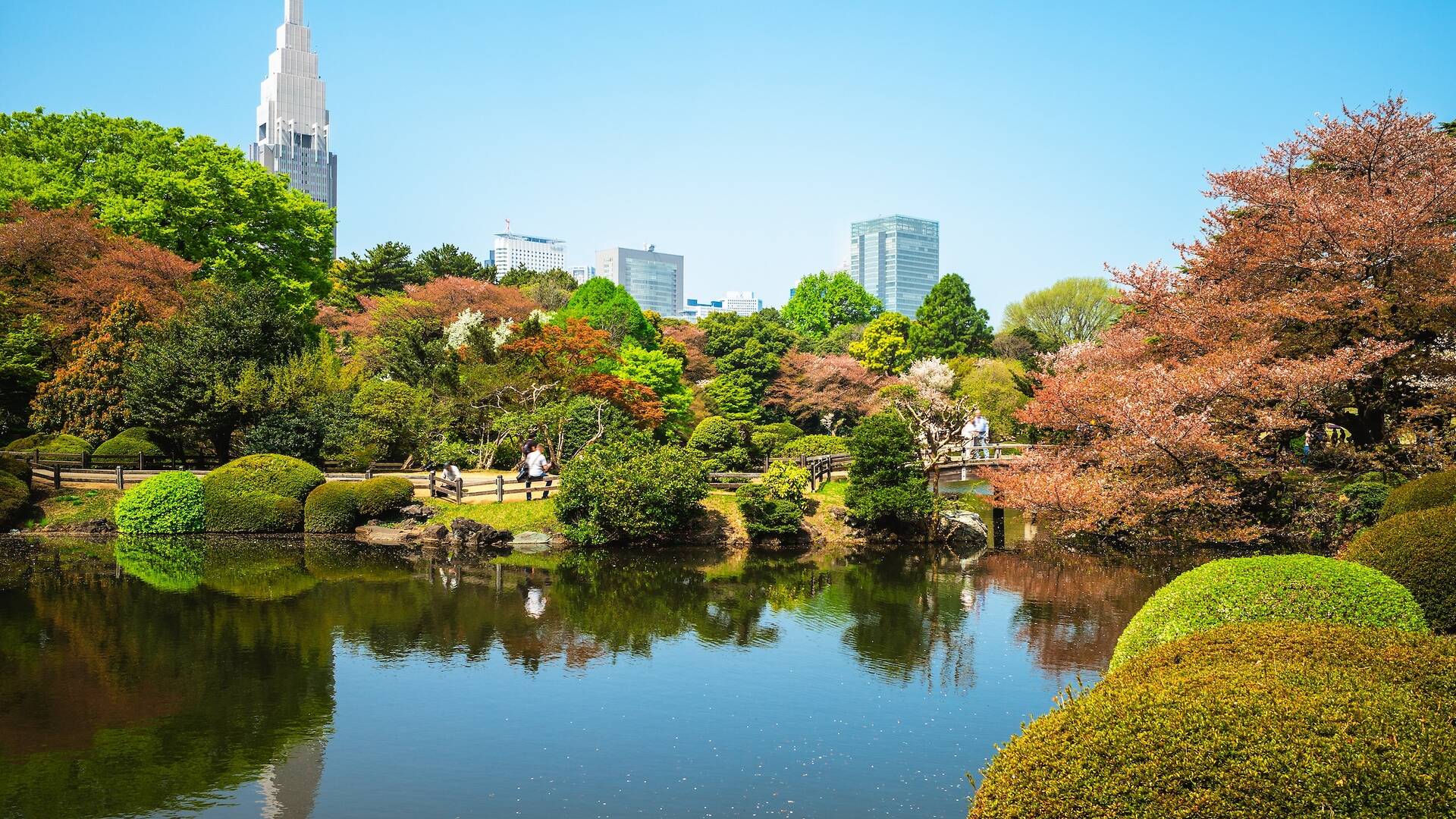 Tokyo has the Most Green Spaces in the World