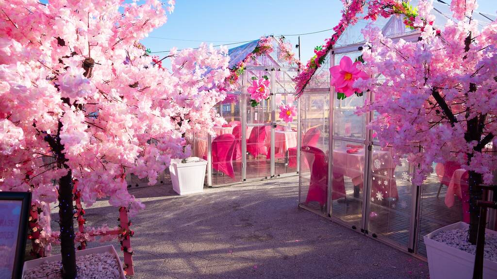NYC's Spring Fling Cherry Blossom Festival at Pier 15: Details and pricing
