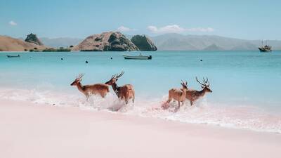 The World’s 44 Most Beautiful Places