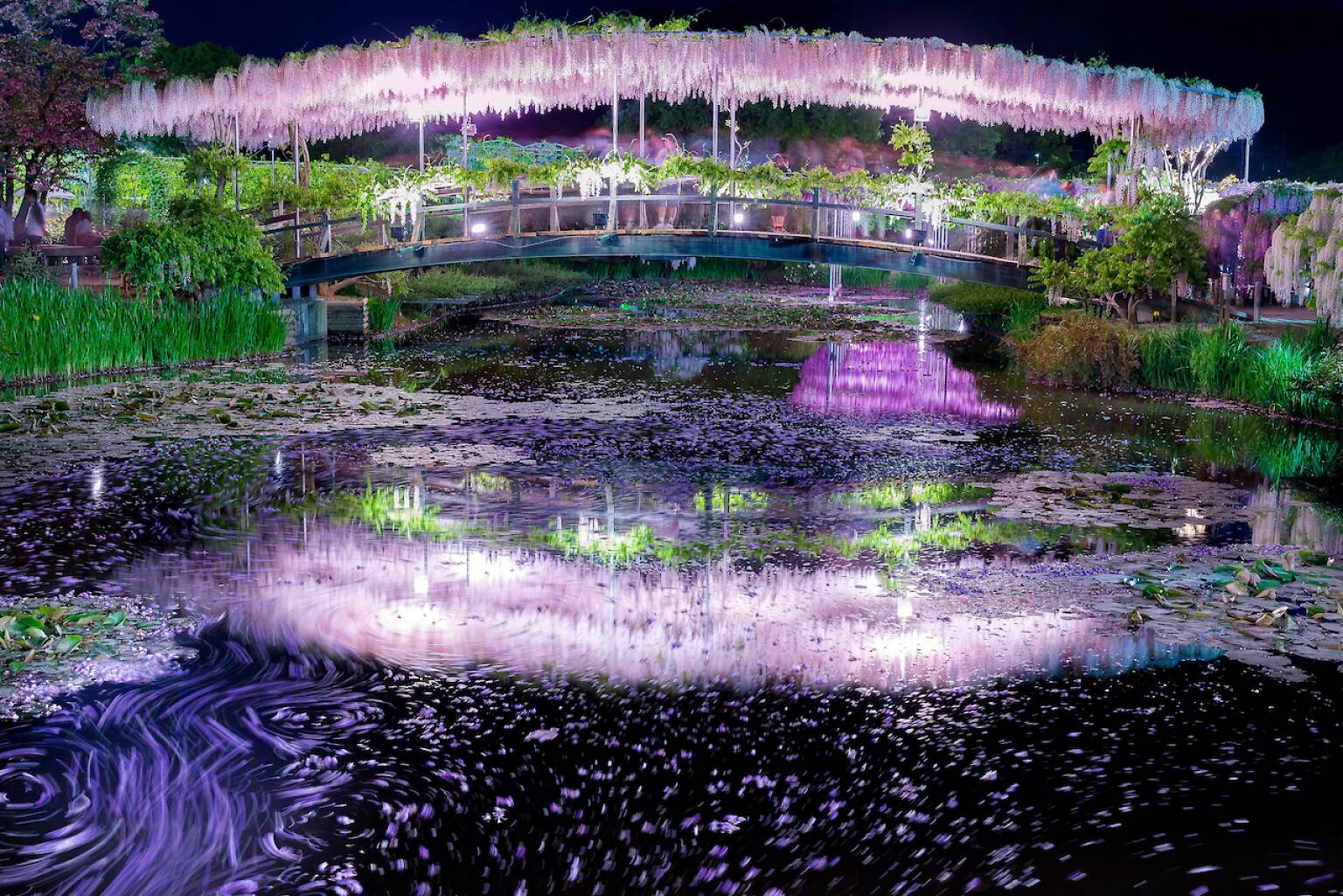 The most beautiful spring flowers in Tokyo – and where to see them all ...