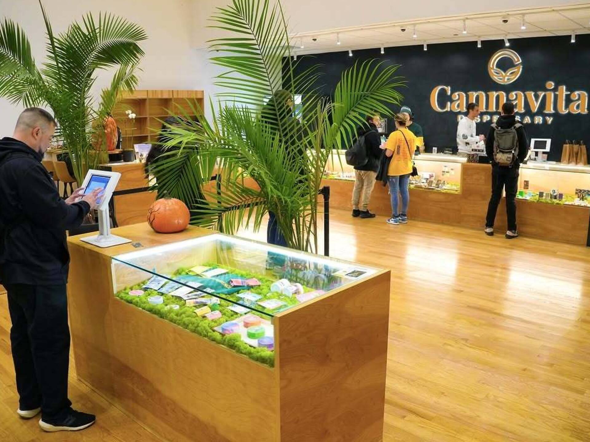 The 11 best weed dispensaries in NYC