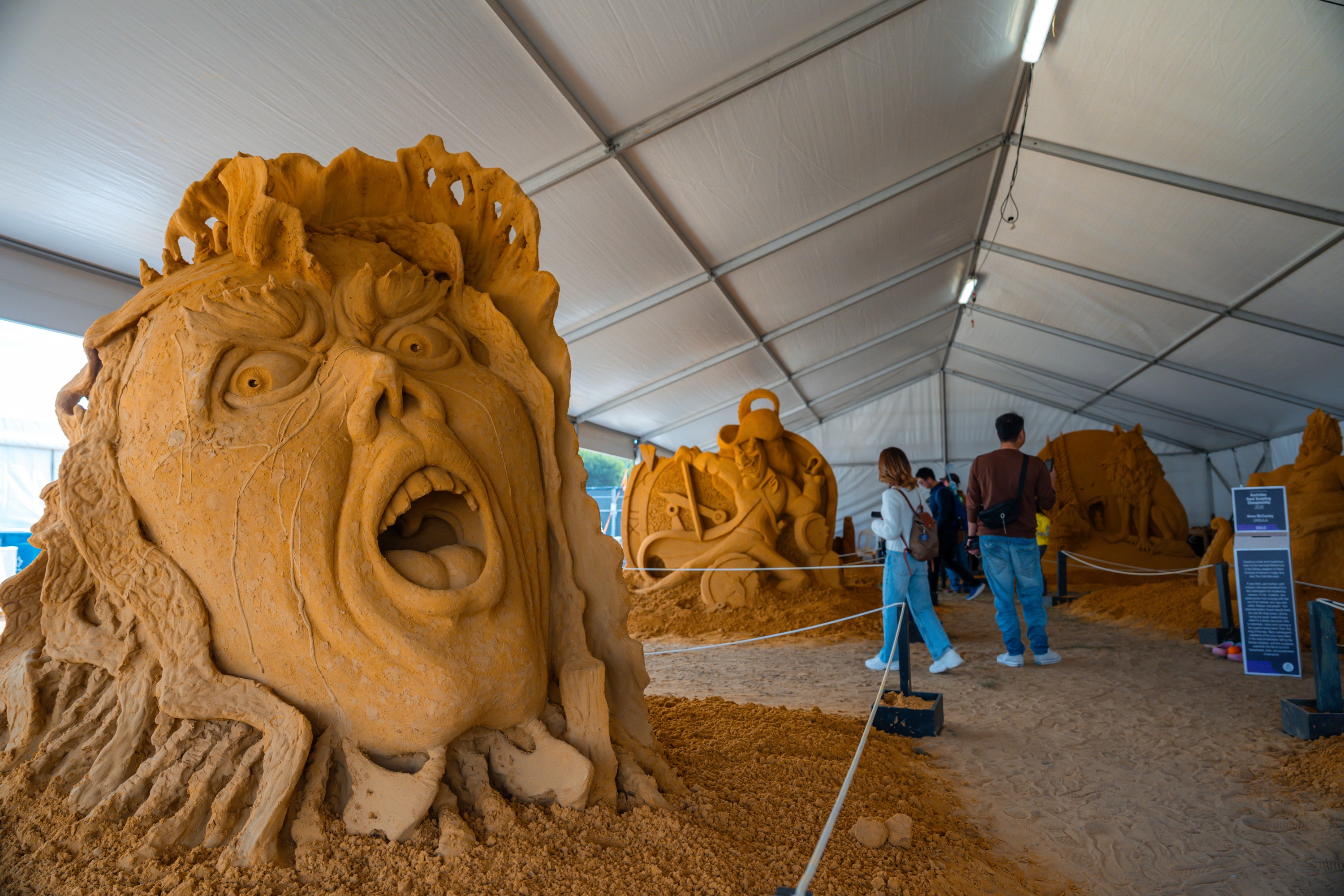 Australia’s largest sand sculpting competition crowns 2025 winners
