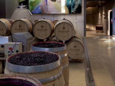 Express getaway to Mendoza for Malbec wine lovers: tips and advice
