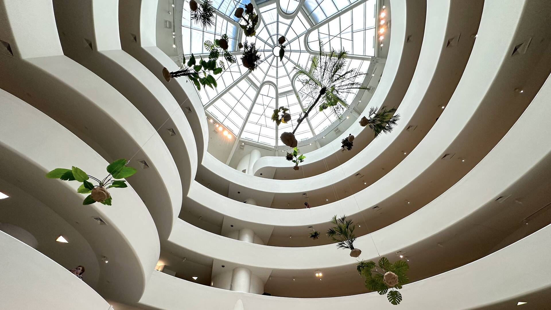 Why is there a hanging garden inside the Guggenheim Museum’s rotunda?
