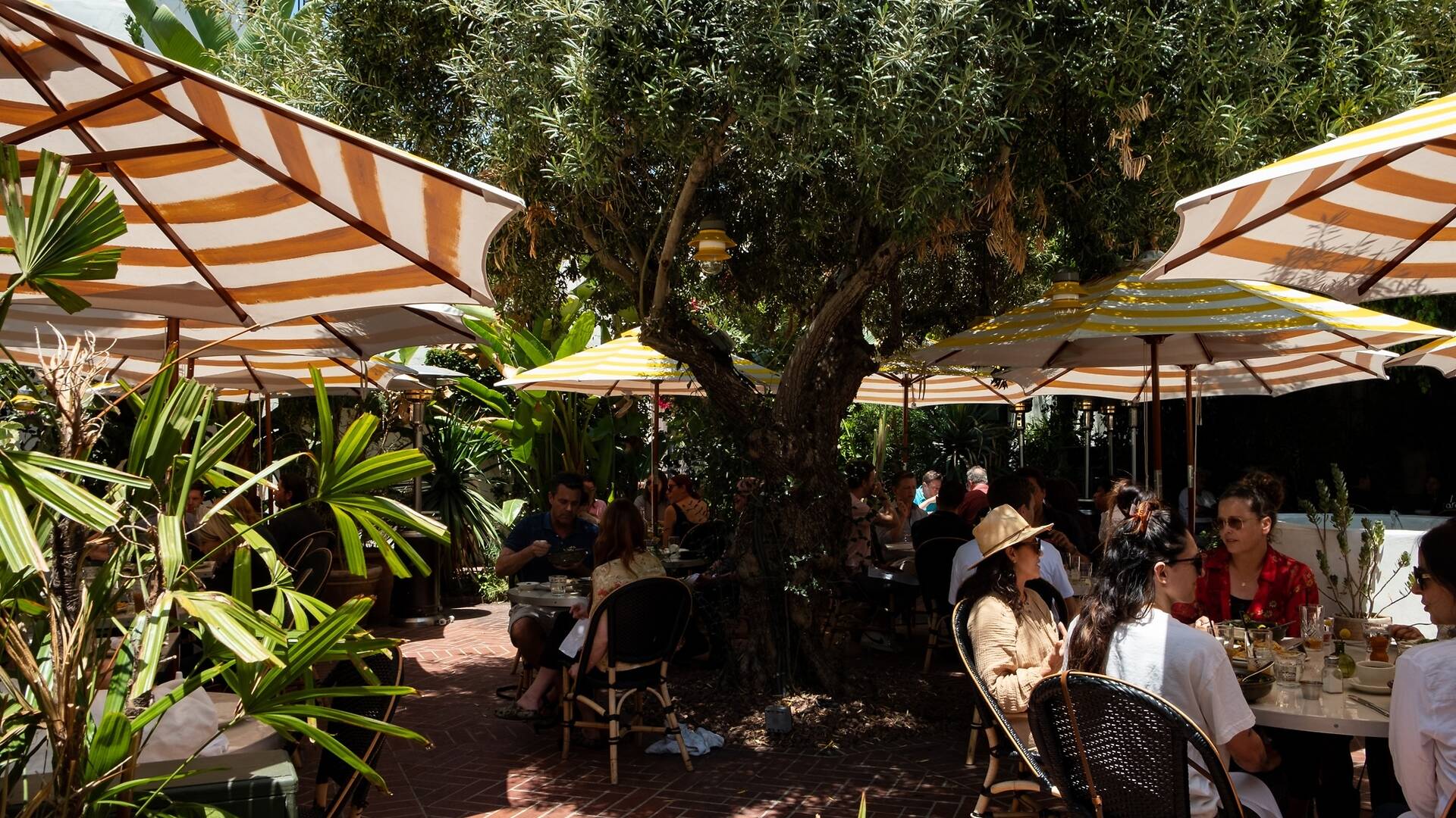 Superba Food + Bread Hollywood | Restaurants in Hollywood, Los Angeles