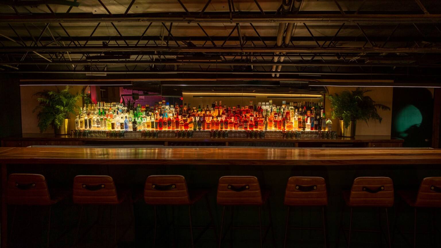 12 Best Bars in Houston Right Now