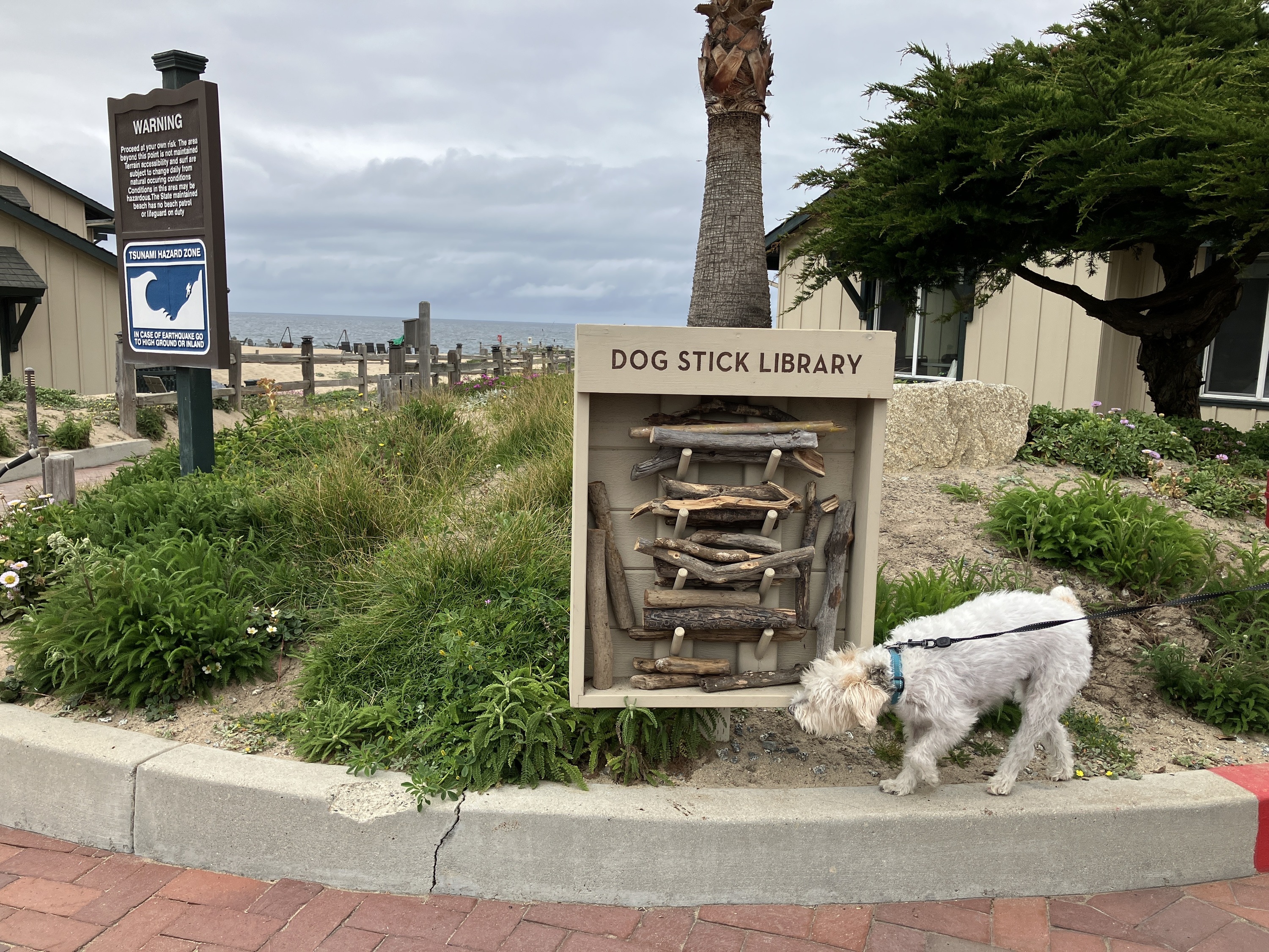 At the Sanctuary Beach Resort in Marina, dogs can borrow from a stick ...