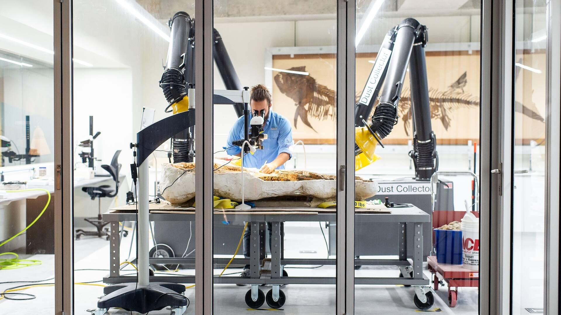 The Dig at Frost Science | Things to do in Miami