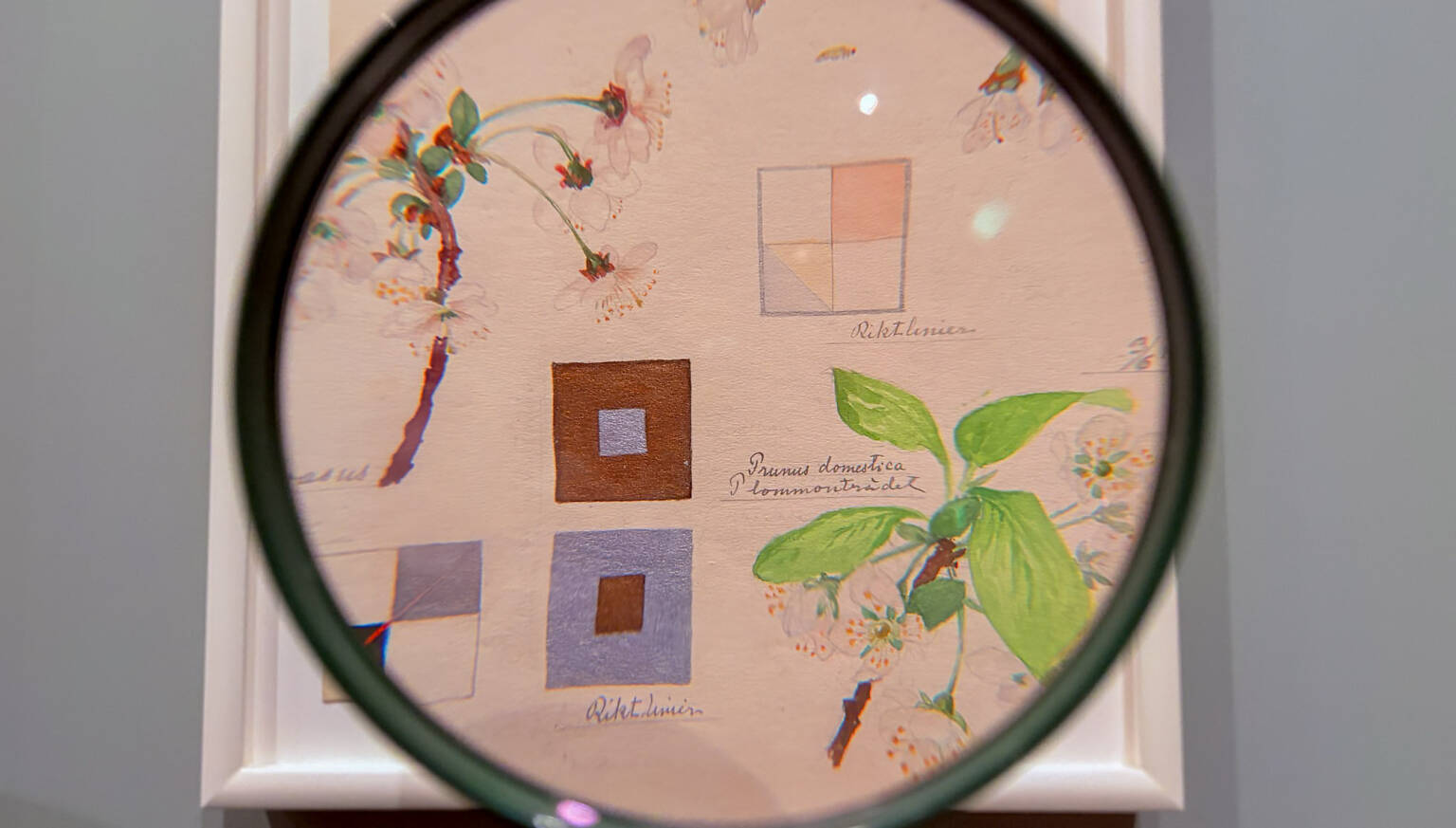 Photos: A first look at NYC’s new Hilma af Klint exhibit at the Museum ...