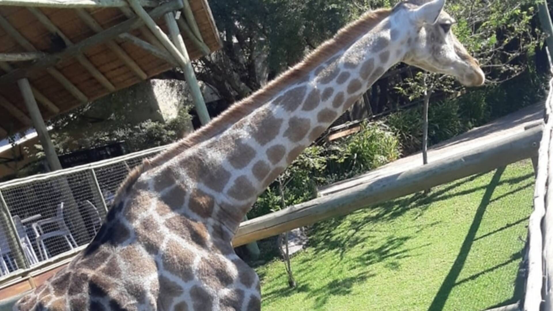 A nature lover's paradise: Bothongo Rhino & Lion Nature Reserve