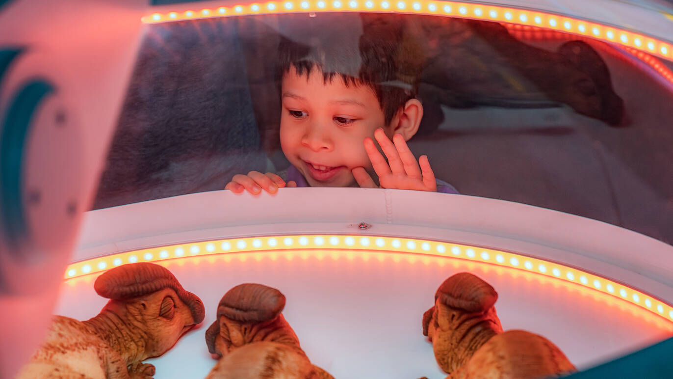 Jurassic World: The Experience, NEON: encounter the dinosaurs stars of ...