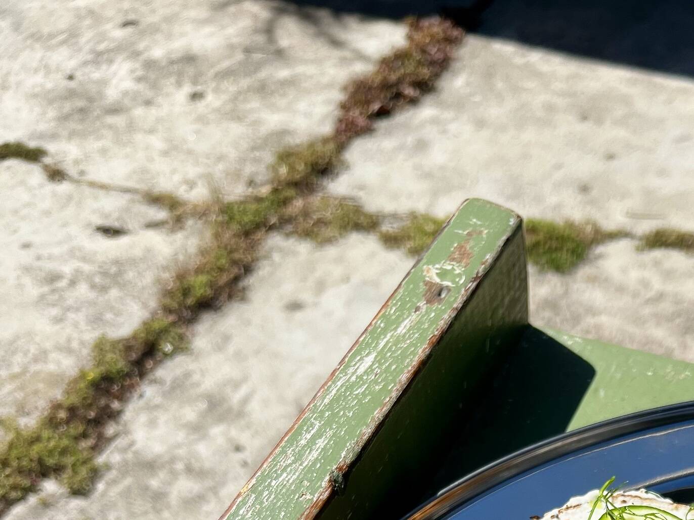 These are the 14 best bagels in Melbourne