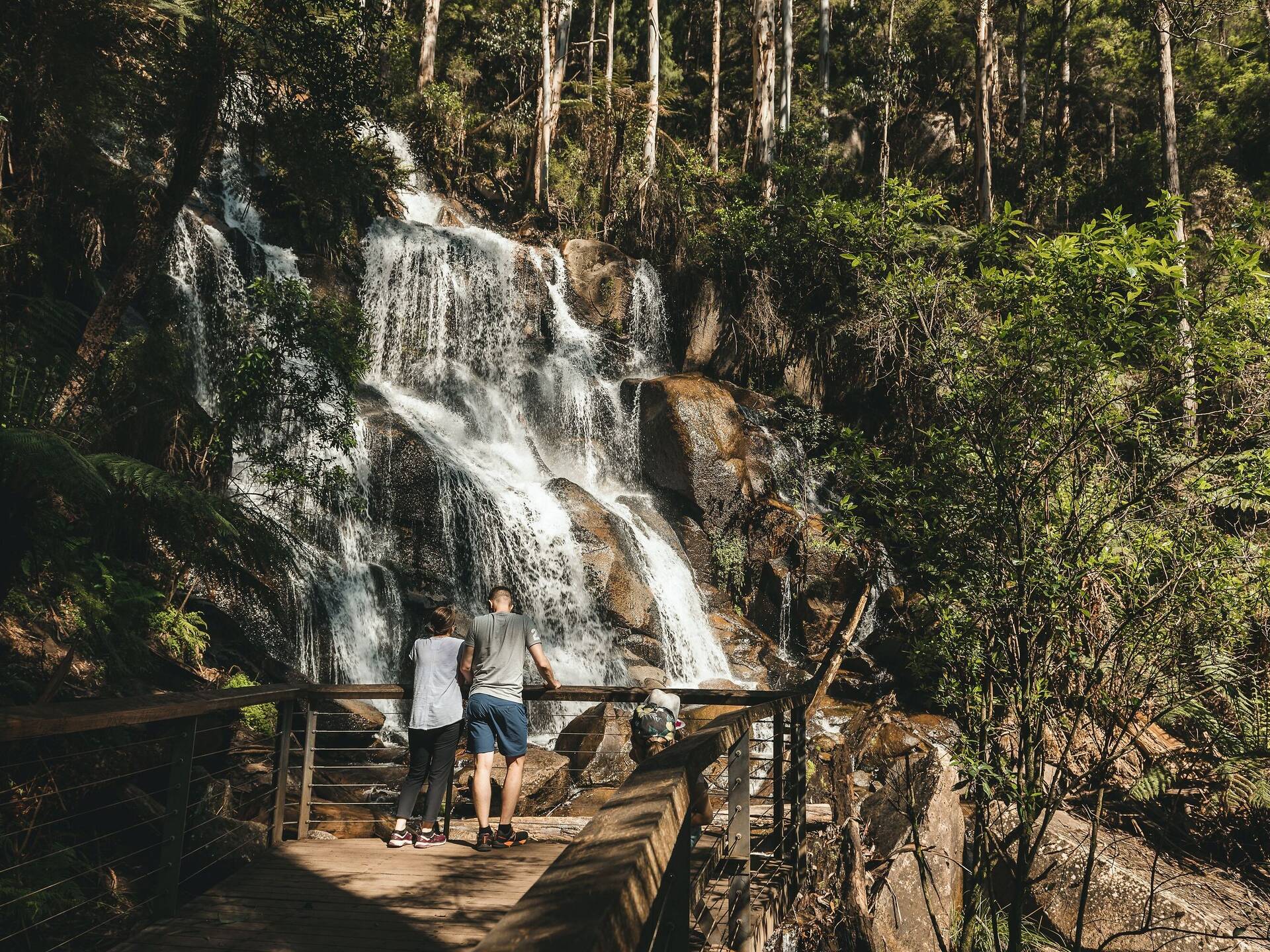 The 16 Best Waterfalls in Victoria, Melbourne 2025