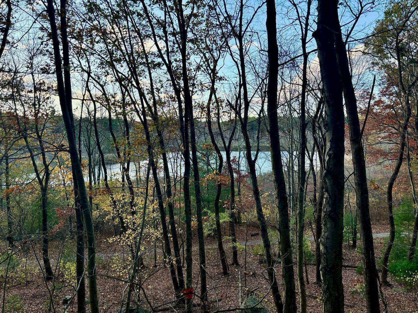 Best Hiking Near Boston: 12 Trails, Nature Preserves & State Parks