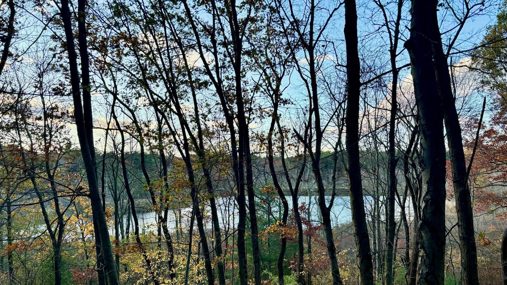 Best Hiking Near Boston: 12 Trails, Nature Preserves & State Parks