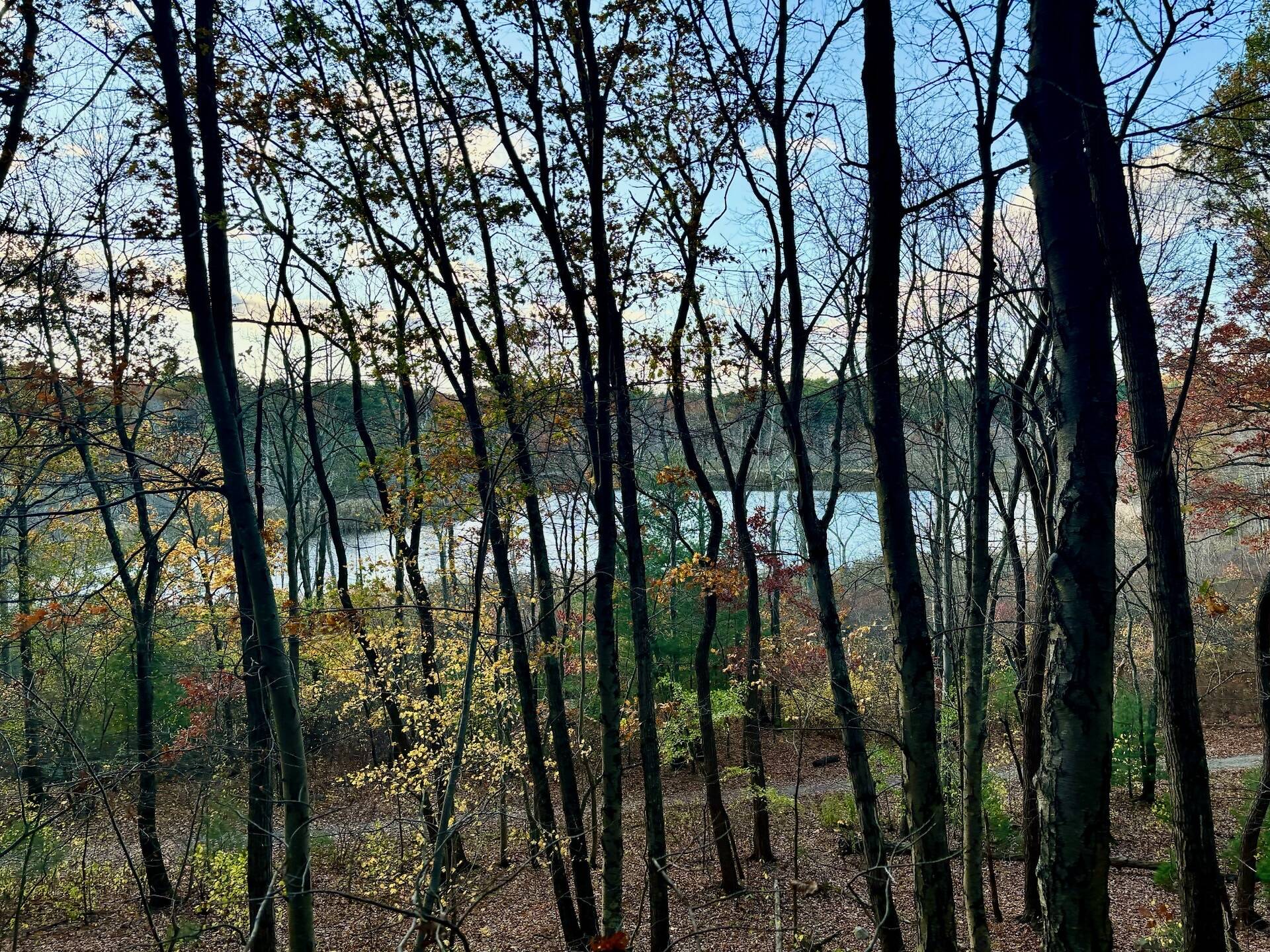 Best Hiking Near Boston: 12 Trails, Nature Preserves & State Parks