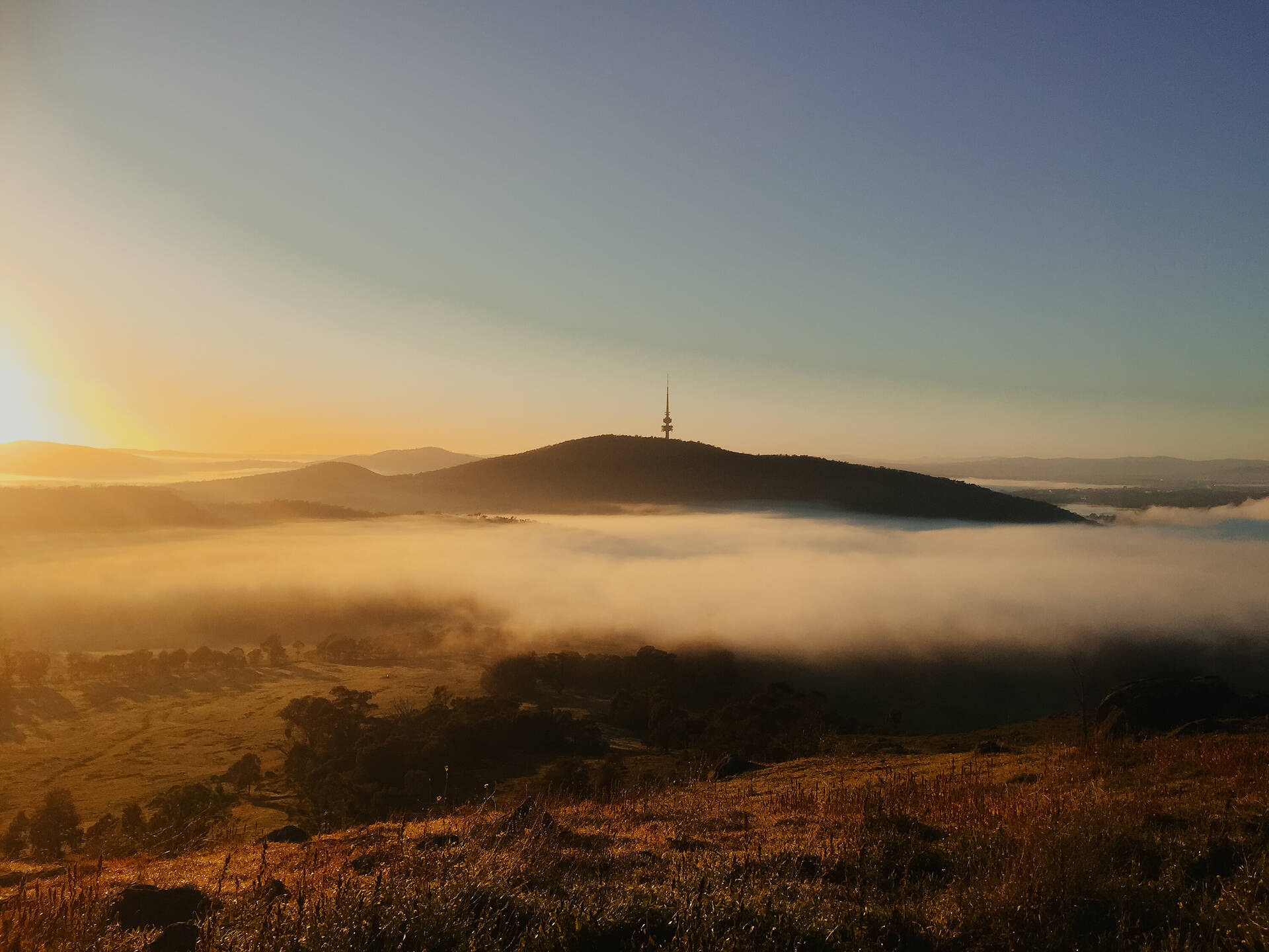 The 12 Best Hikes and Bushwalks in Canberra