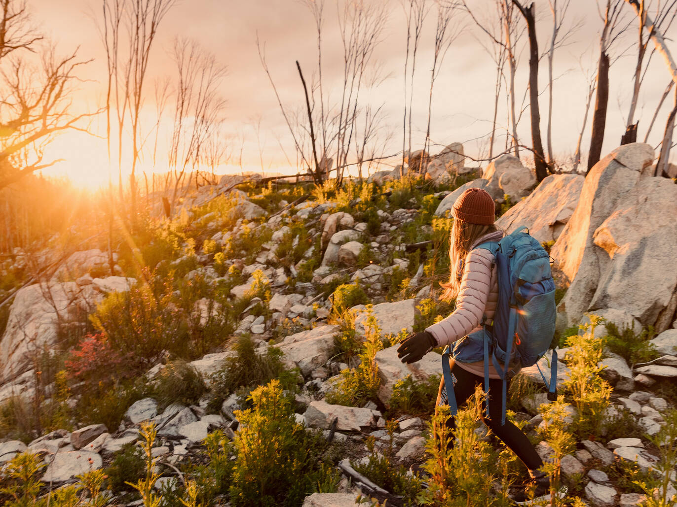 The 12 Best Hikes and Bushwalks in Canberra