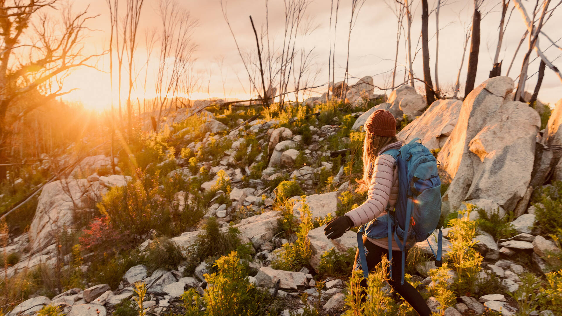 The 12 Best Hikes and Bushwalks in Canberra