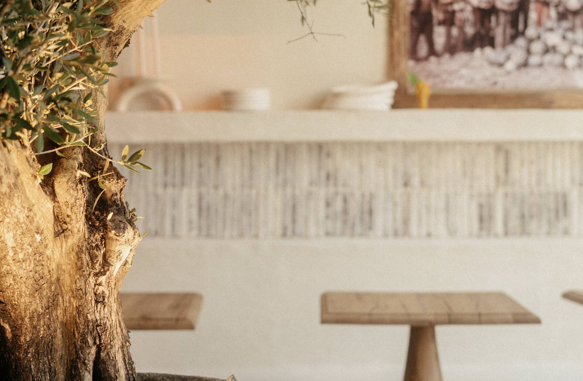 Tatar Bunar Restaurant Shoreditch, London Review: Ukranian classics in ...