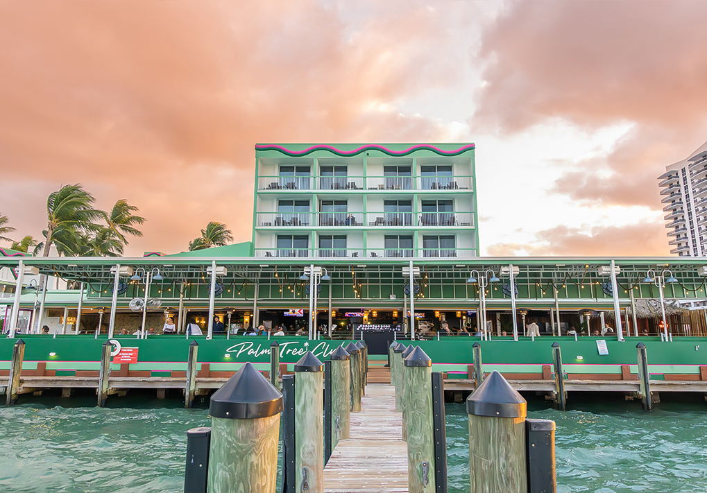 Alesso at Palm Tree Club | Things to do in Miami