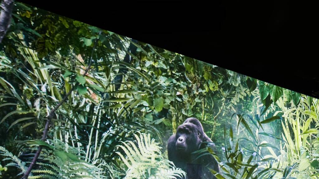 Our Story with David Attenborough, Natural History Museum review ...