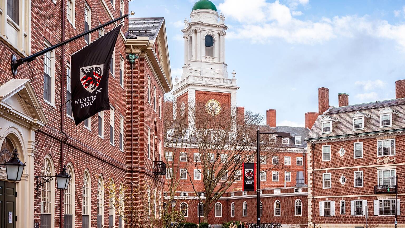 Poor things sex scenes porn emma Stone plays a woman, Bella