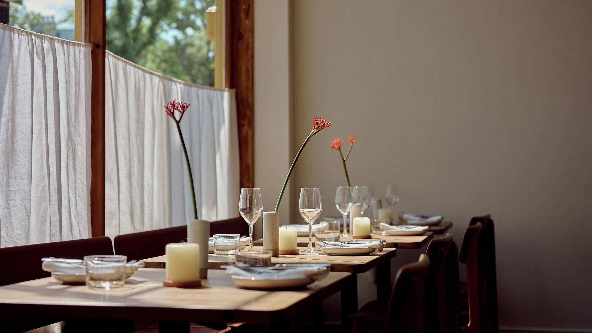 Lupa Restaurant Highbury, London Review: A stylish Rome-inspired ...