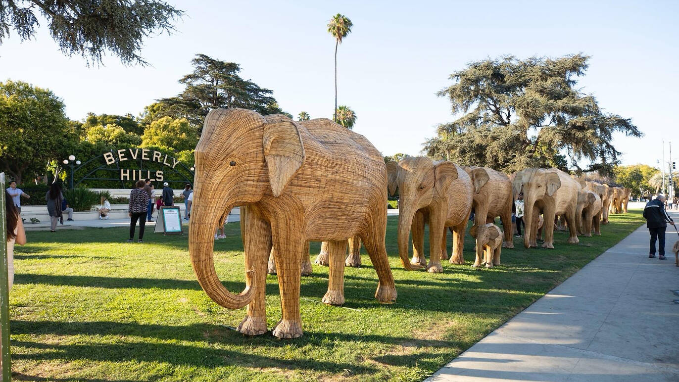 The Great Elephant Migration | Art in Los Angeles