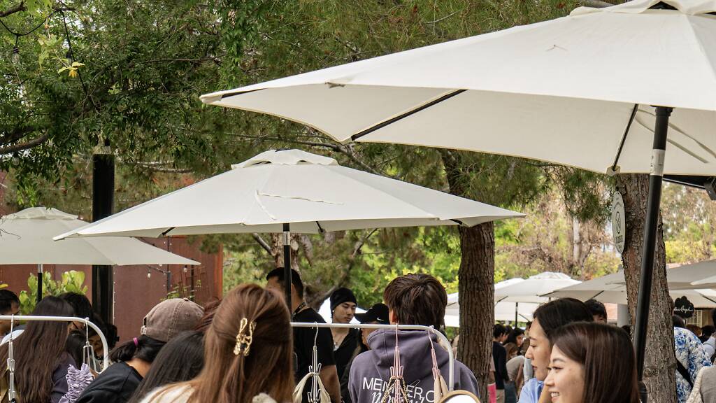 The Best Things to Do in Boston This Week: February 2025