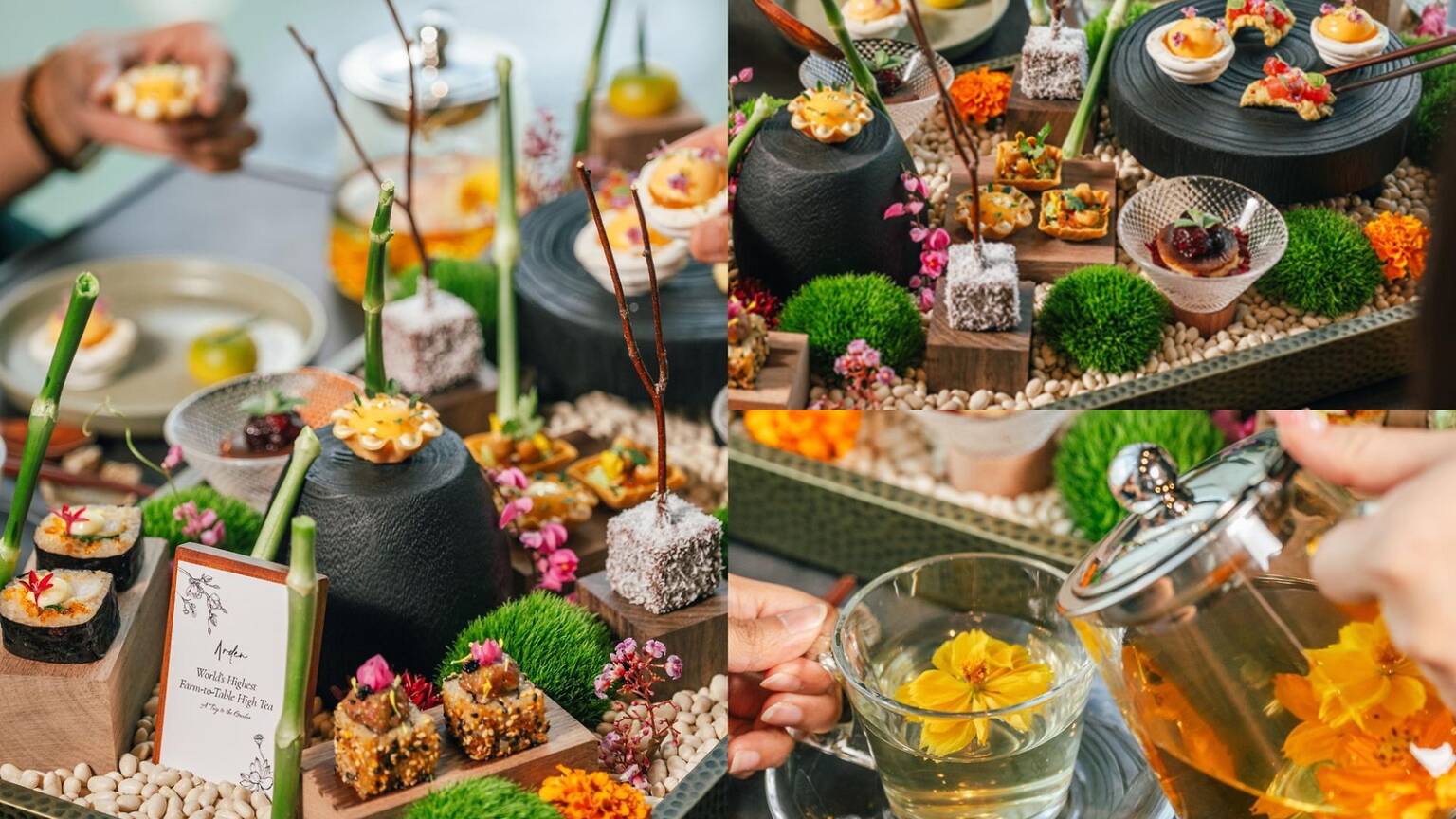 1-Arden: World's Highest Garden-to-Table Afternoon Tea Review