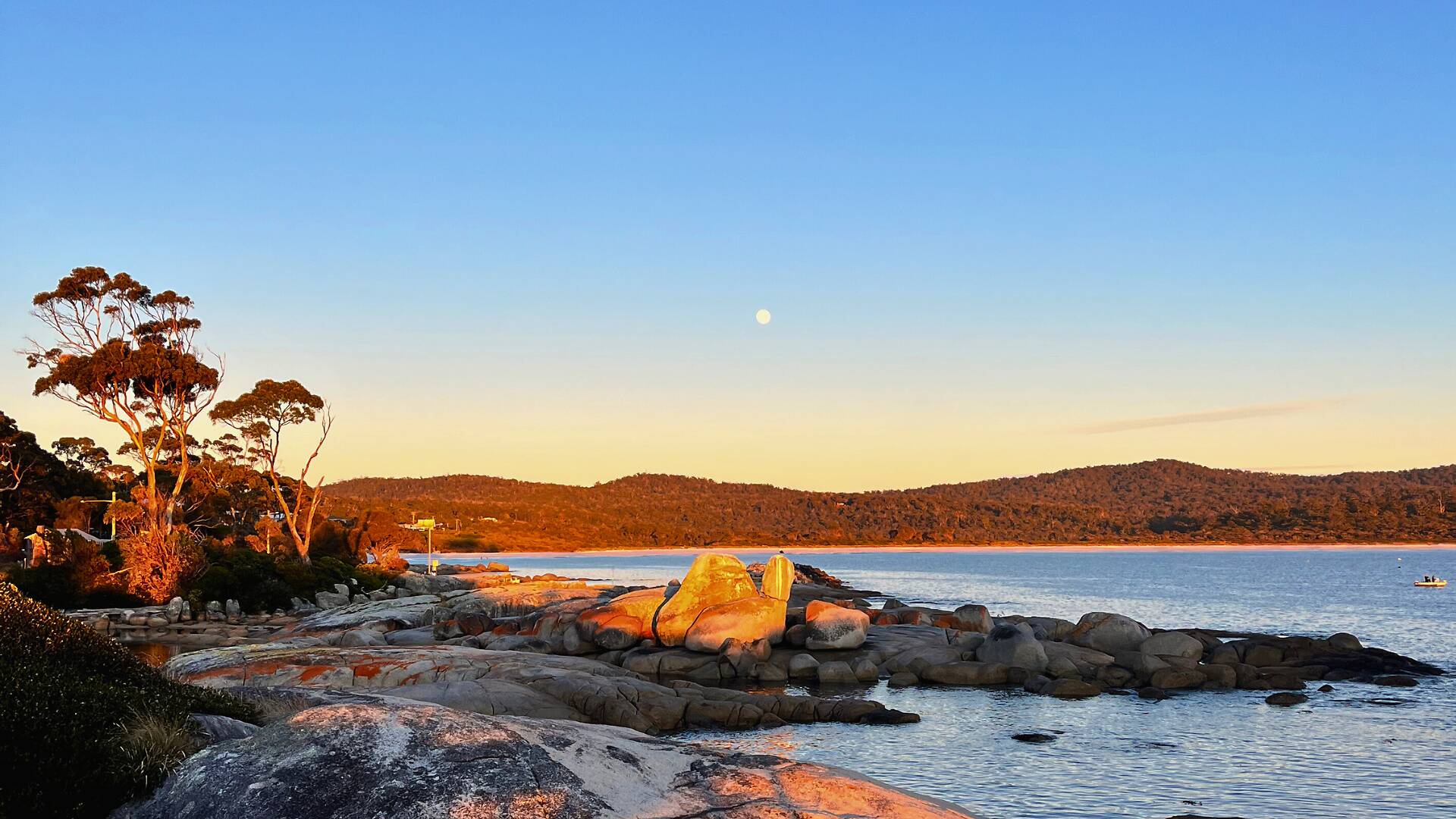 Florencia pajares leaked i’ll come back to visit with a new