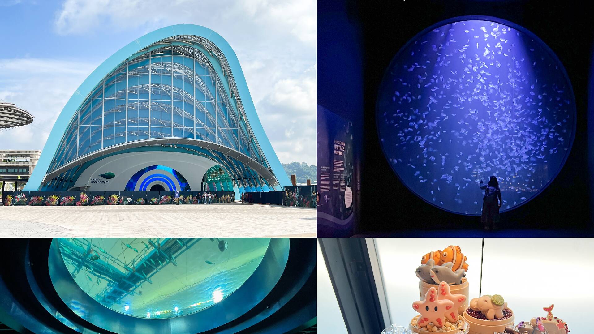Singapore Oceanarium Opens July 24 with 22 Immersive Zones – Here's ...