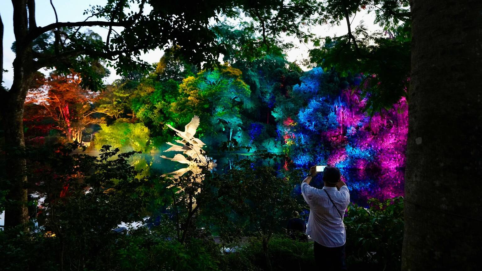 Singapore Botanic Gardens Is Having Its First-Ever Light Show From Now ...
