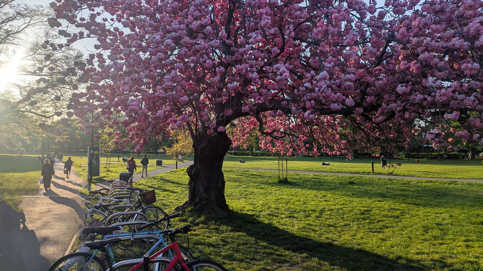Chiswick area guide – Find things to do in Chiswick – Time Out London
