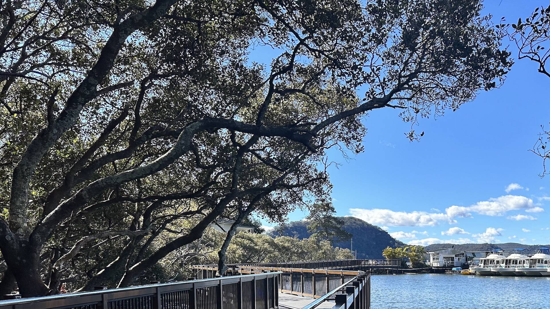 This stunning new waterside walkway has just opened near Sydney