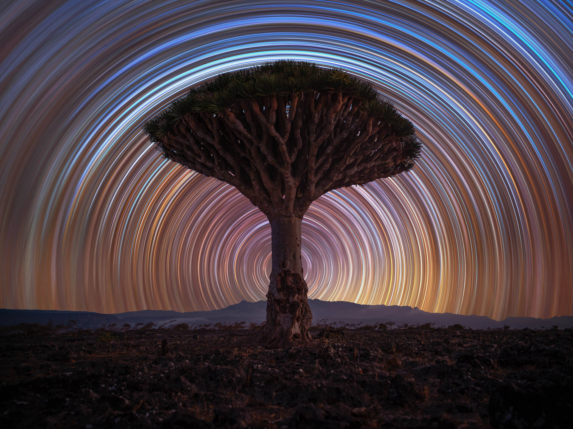 The Top Photography Exhibitions in London in 2026