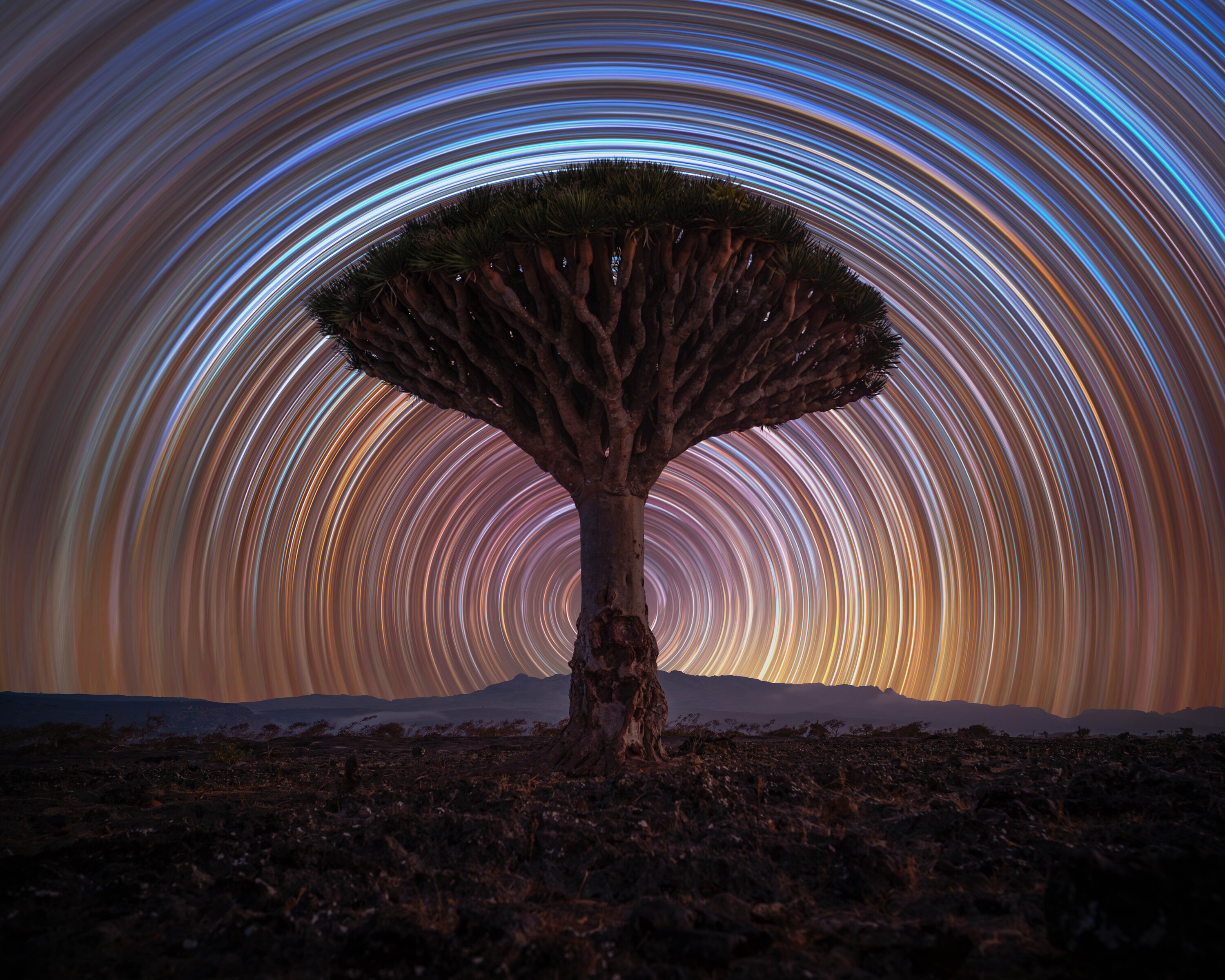 The Top Photography Exhibitions in London in 2026