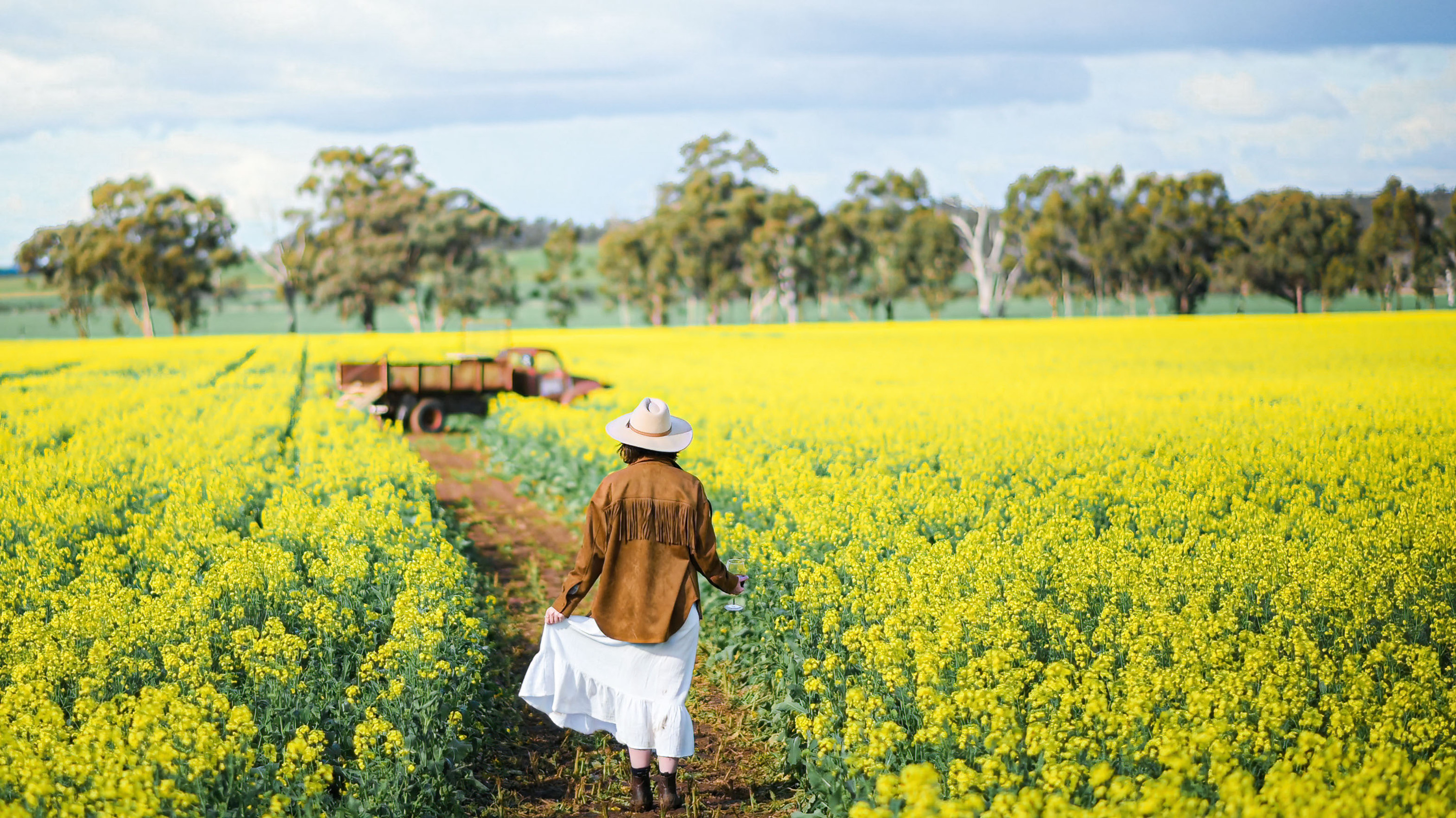 Visit this magical field of golden flowers just 2 hours from Melbourne