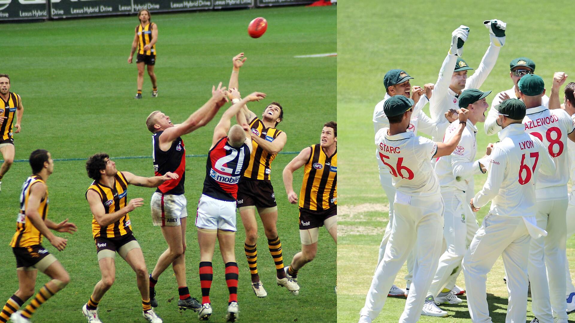 The debate is over: Australians have voted on our national sport
