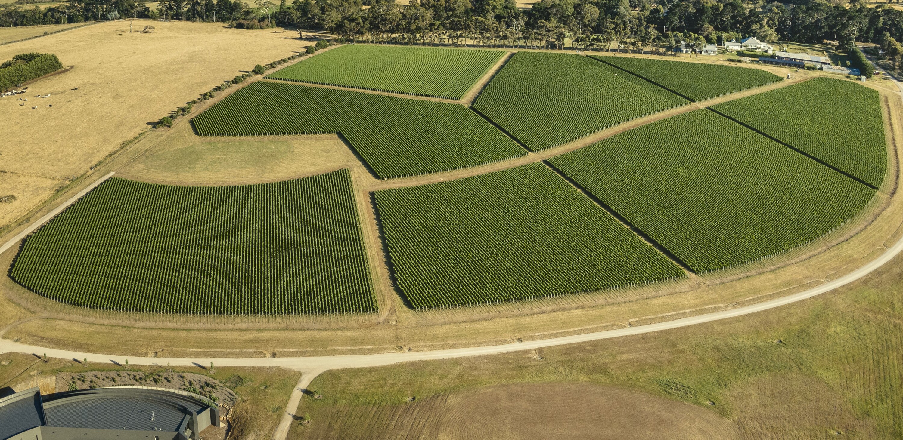 A regional Victorian vineyard crowned best new winery in Australia