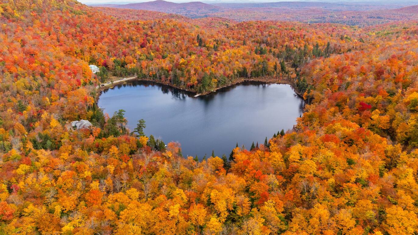 2025 Fall Foliage Map Tracker: See Which Quebec Areas Are Hitting Peak Now