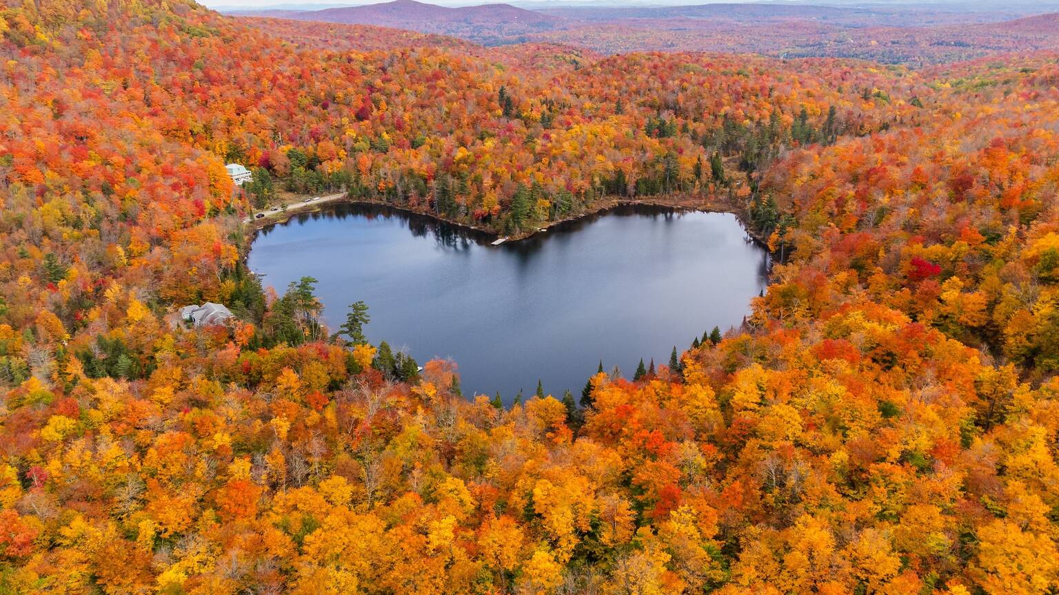 2025 Fall Foliage Map Tracker: See Which Quebec Areas Are Hitting Peak Now