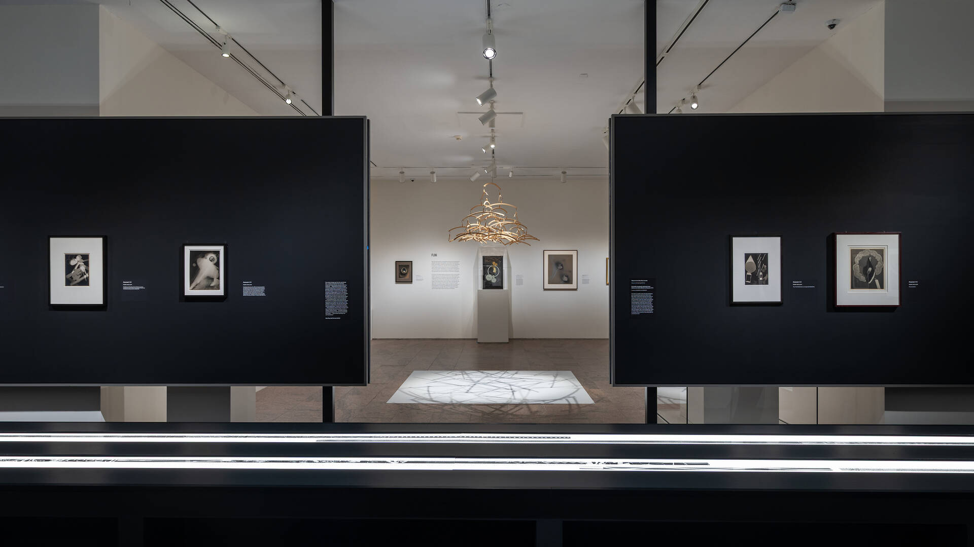 Best Museum Exhibits in NYC to Explore in 2025